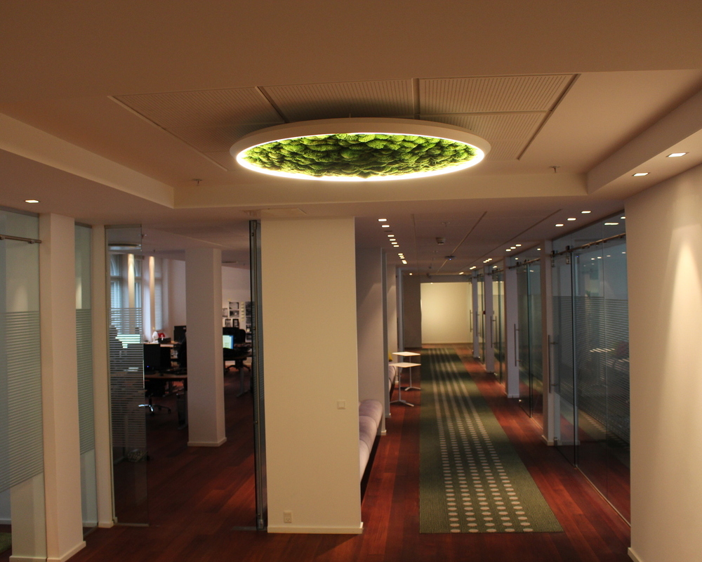 LUCE VERDE SLIM wall light – delicate LED ring light with dry moss ...