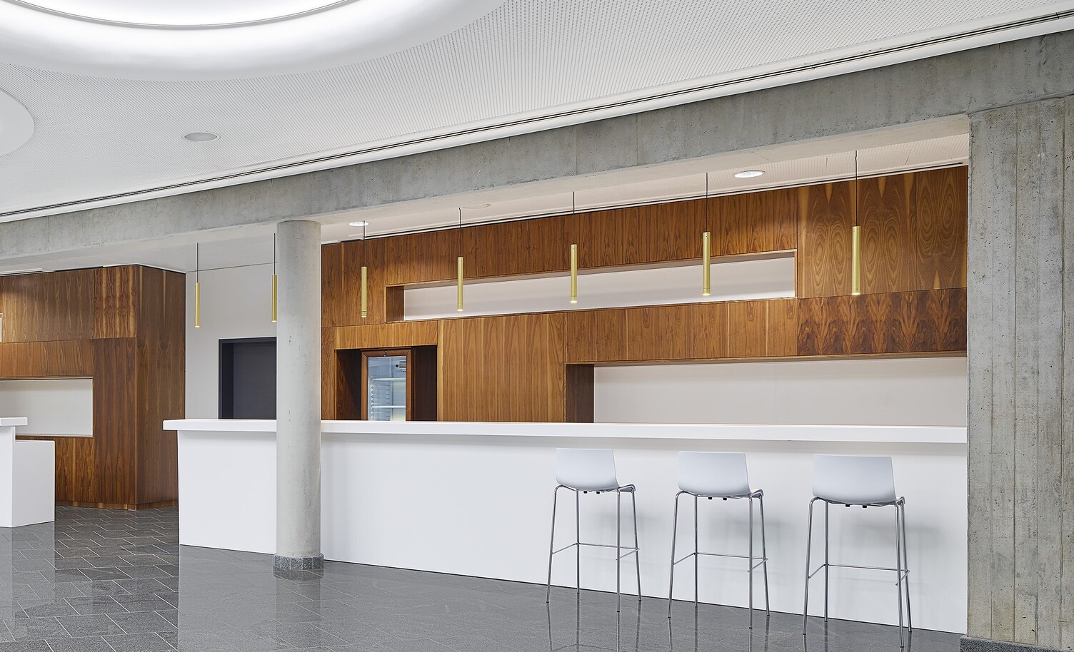 EVOLUTION + TIA - chandelier, pendant, spot and ceiling light | SATTLER ...